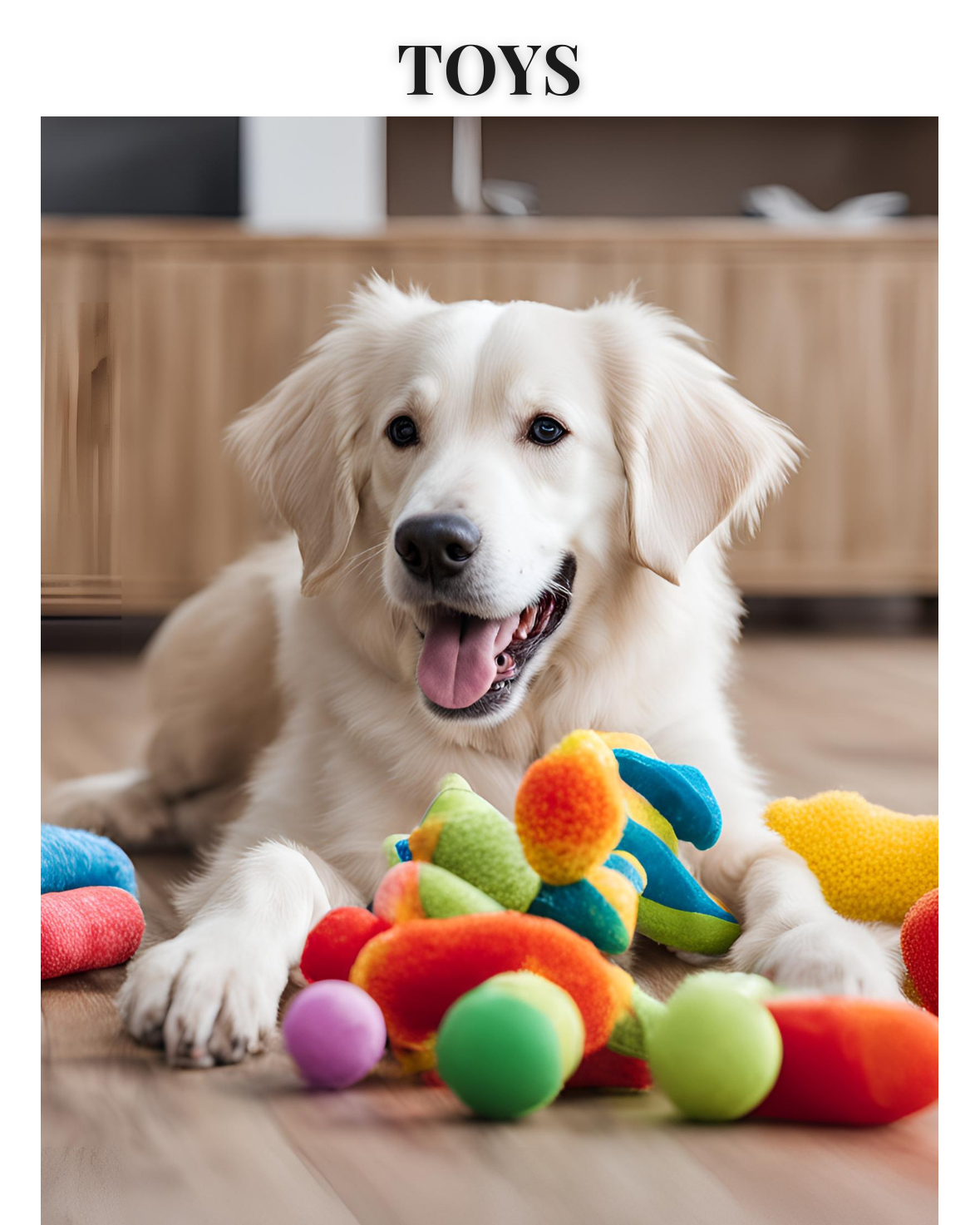 DOG TOYS – Sniff Waggle And Walk